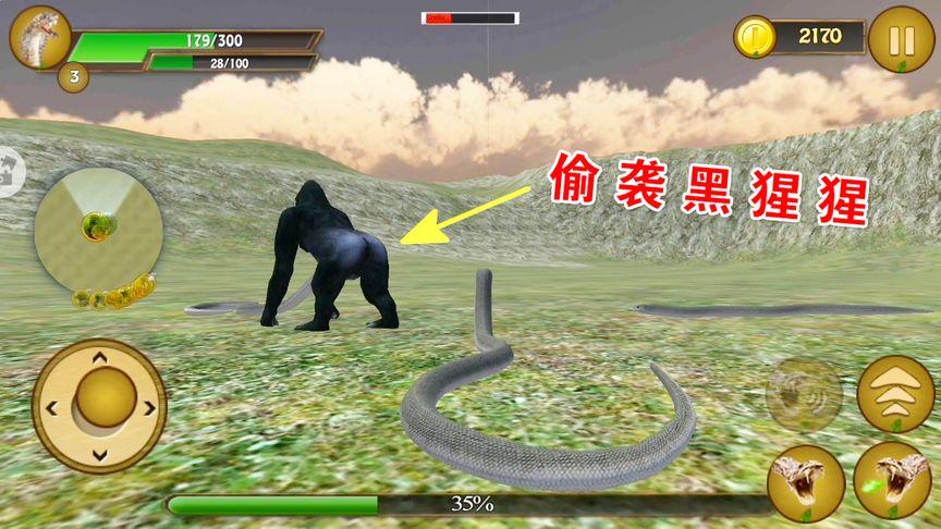 蟒蛇模拟器PolarBears截图