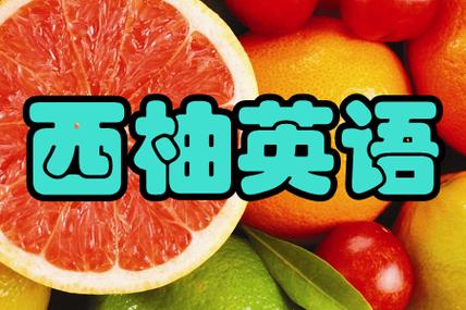 西柚英语安卓版图标