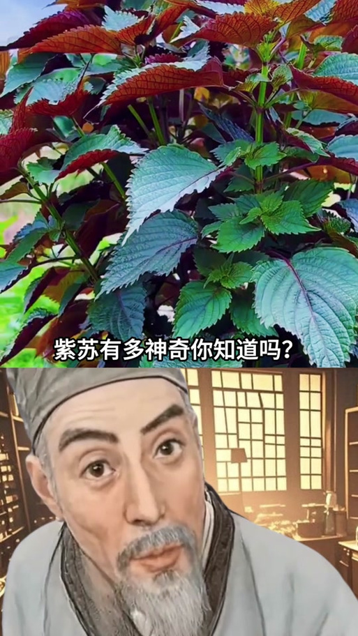 抖音桃小苏