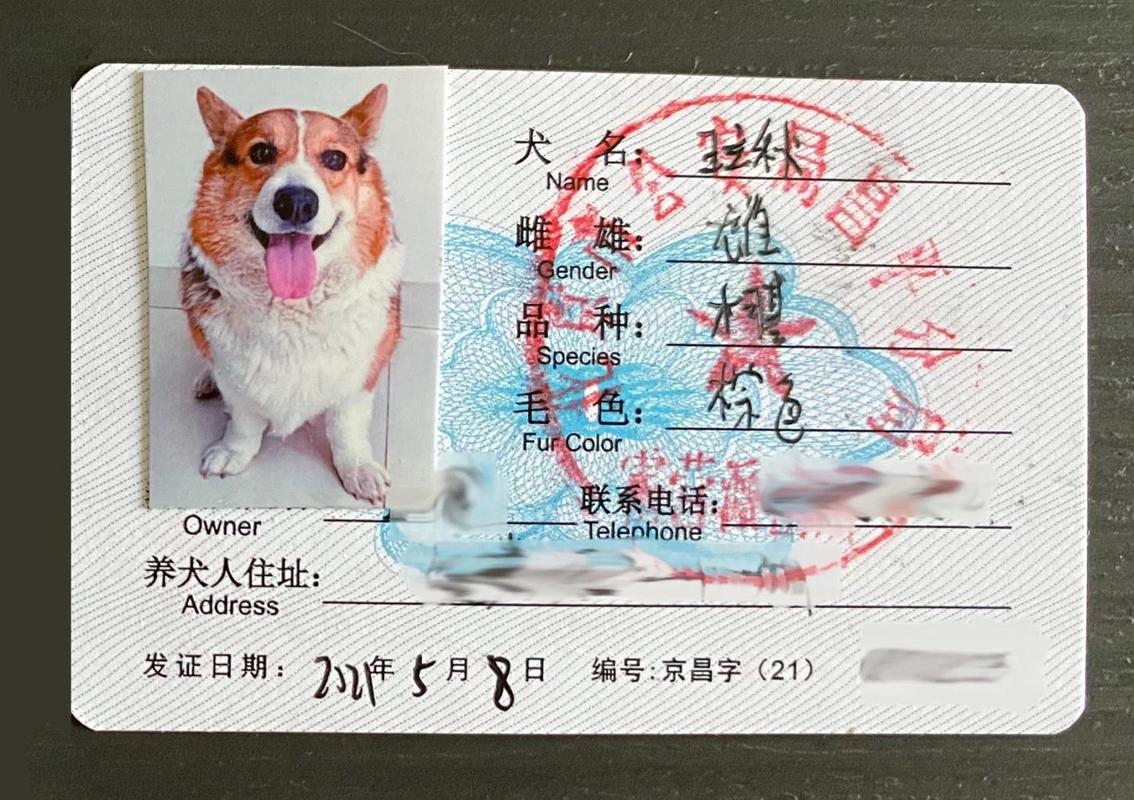 办狗证最忌三个东西图标