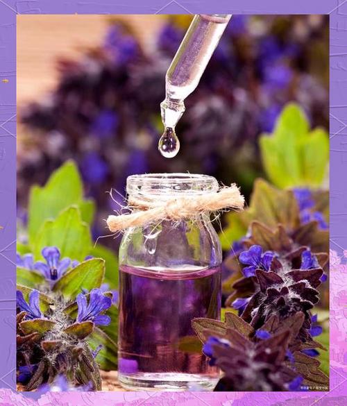 薰衣草精油截图
