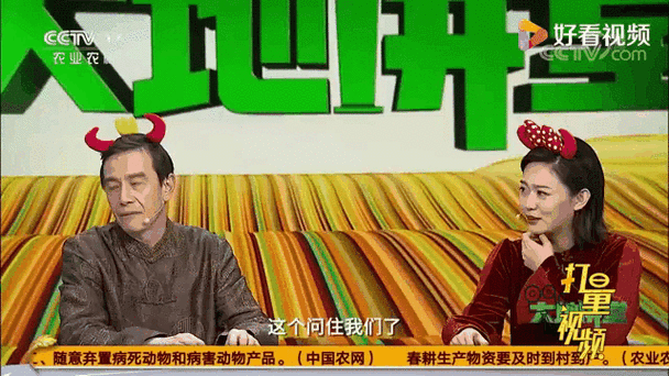 播代表什么生肖图标