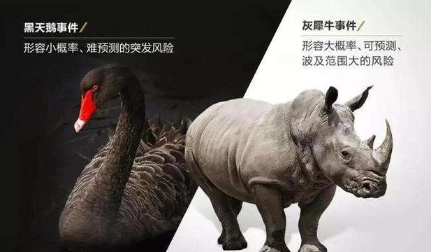 黑天鹅深度解读截图