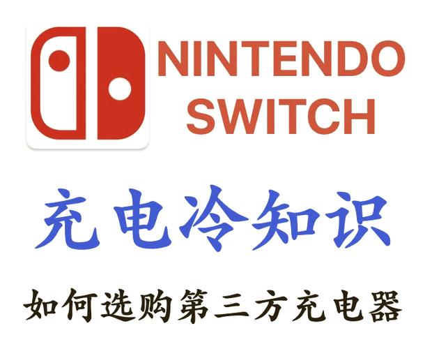 switch充电器选购方法图标