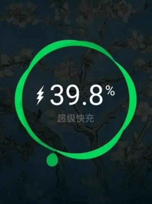 手机没了快充是怎么回事图标
