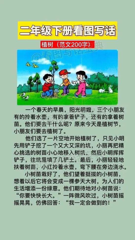 植树节看图写话一年级