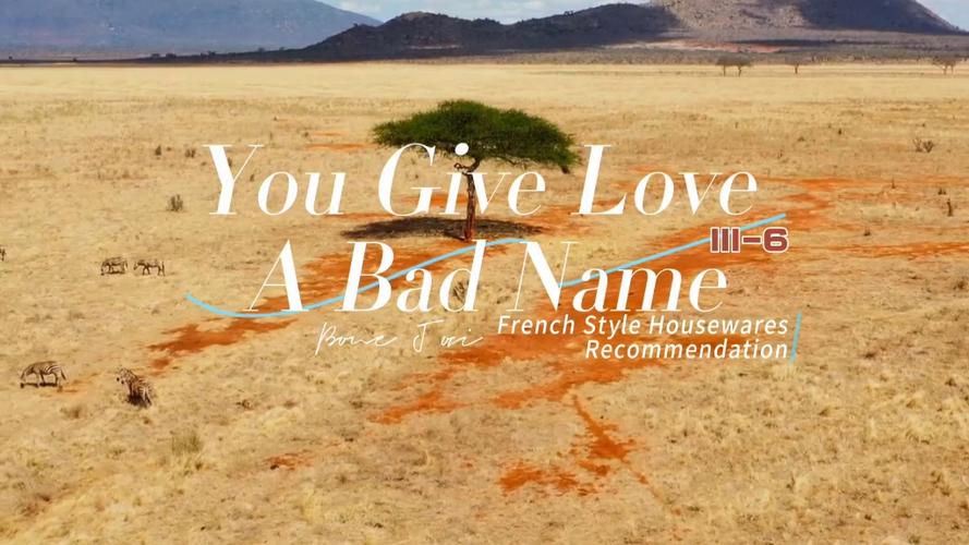 You Give Love A Bad Name截图