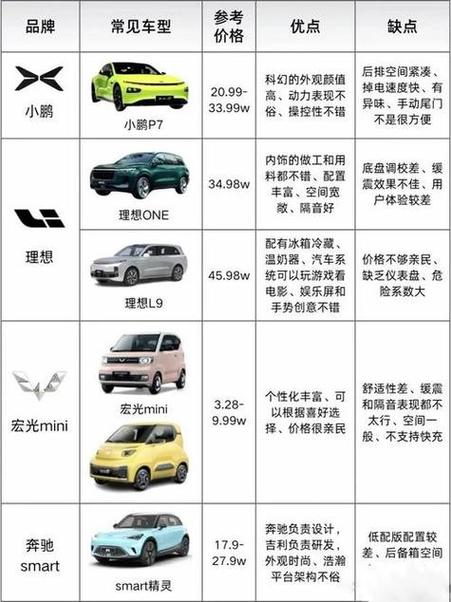 十大公认最好纯电车图标