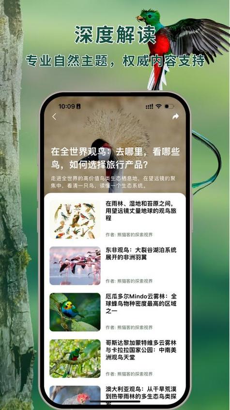 熊猫推客图标