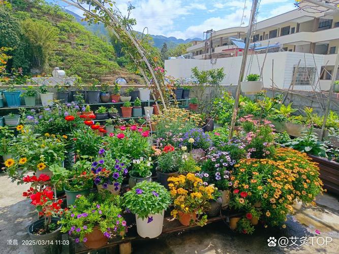 种花拾光赚钱游戏图标