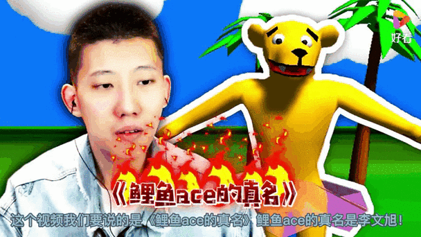 鲤鱼ace解说真名图标