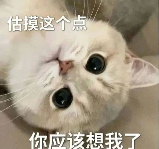聊天表情图标