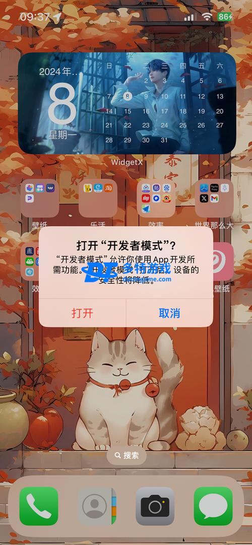 苹果手机如何开启开发者模式图标
