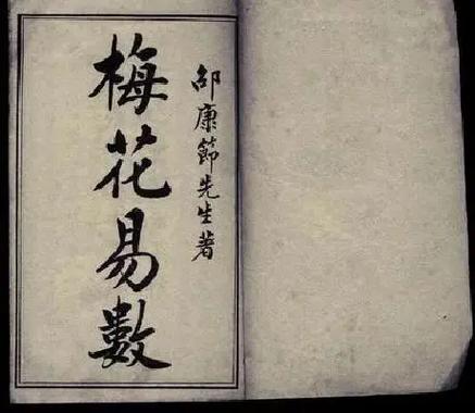 哪个版本的梅花易数好图标