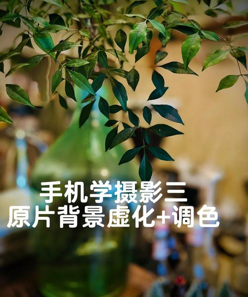 MIUI拍照虚化背景图标