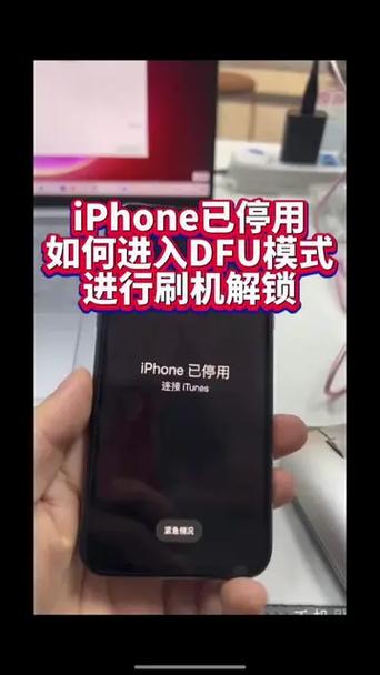苹果进不去dfu模式截图