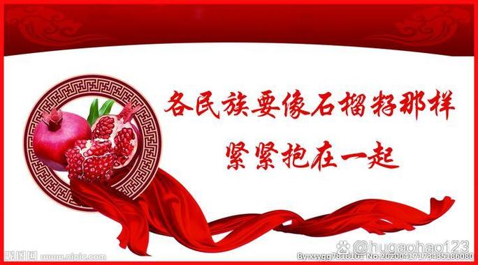 视频石榴籽一家亲游戏截图
