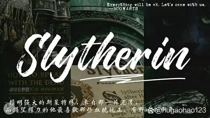 当女哈利被马尔福家收养图标
