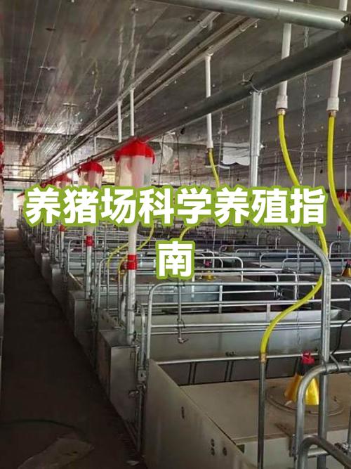 快乐养猪场怎么赚钱图标