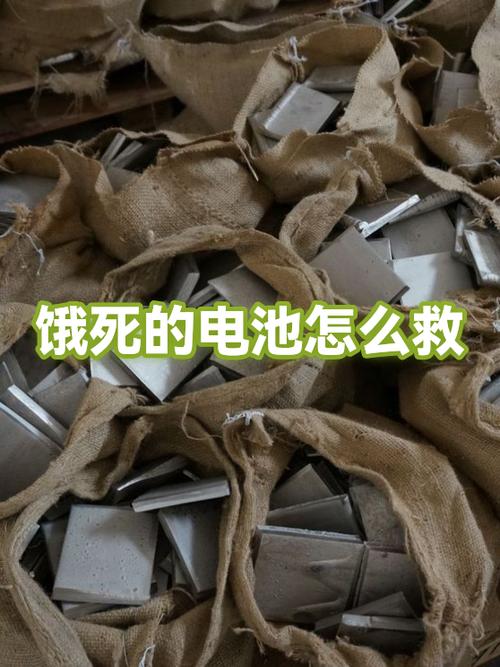 电瓶亏电饿死了咋办图标