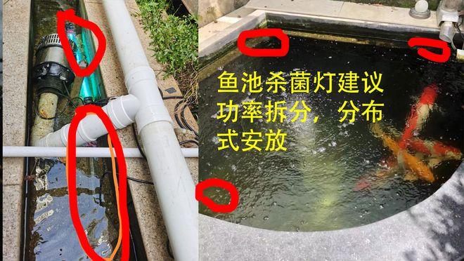 鱼缸杀菌灯可以24小时开吗图标