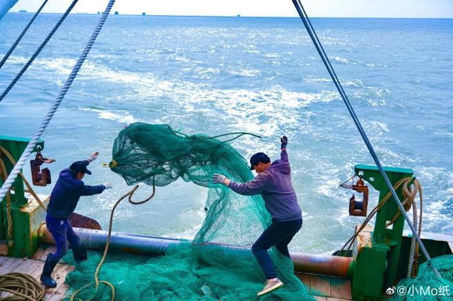 鸬鹚能在海水捕鱼吗图标