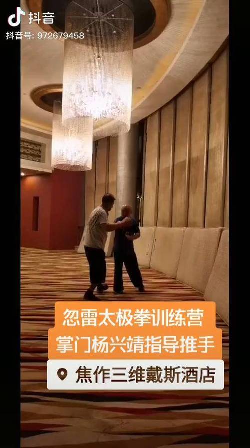 忽雷太极杨兴靖视频