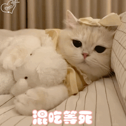 可爱的表情包萌表情图标