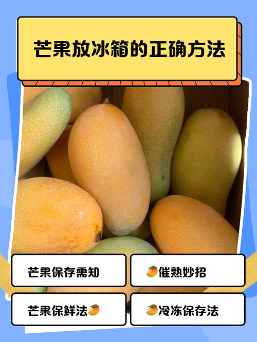 芒果能放冰箱保鲜吗图标