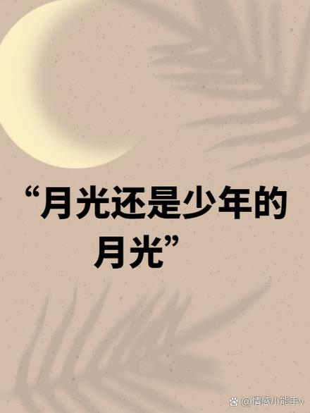 独白月光还是少年的月光