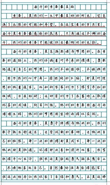初三奋斗日记截图
