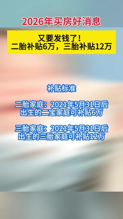 四胎政策最新消息图标