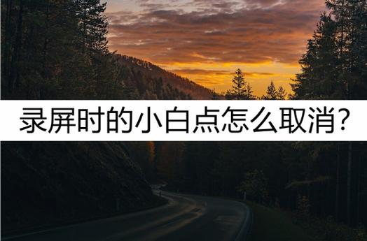 oppo小白点怎么取消图标
