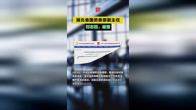 湖北政府国资委原副主任被查图标