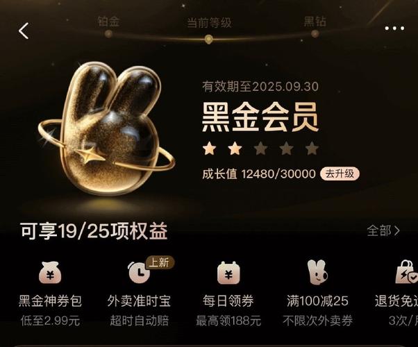 美团黑金的含金量高吗图标