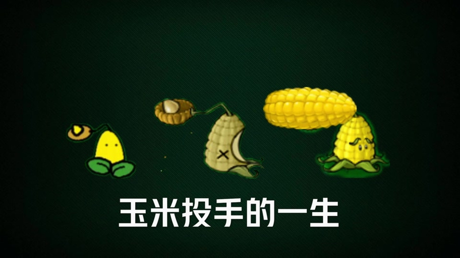 玉米投手的一生截图