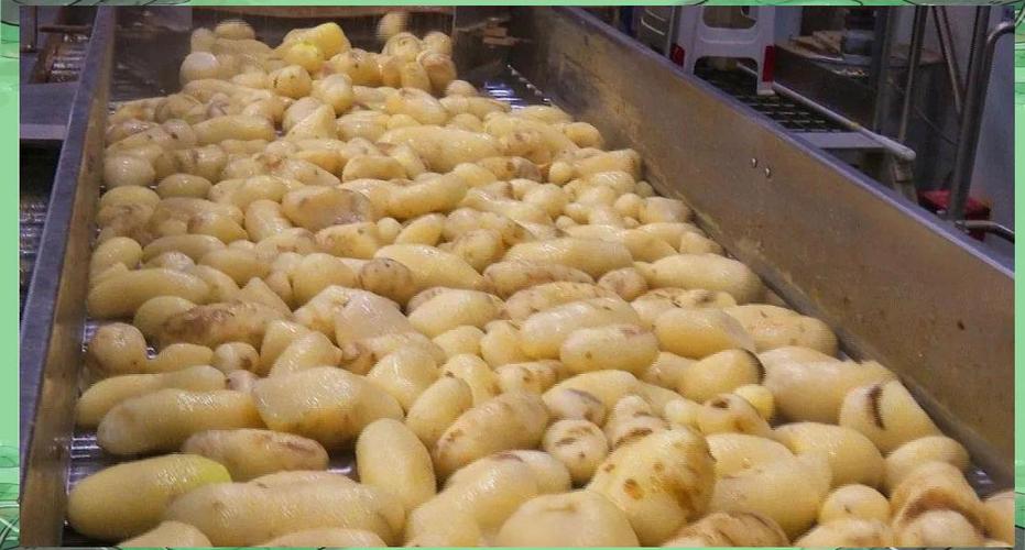 土豆深加工图标