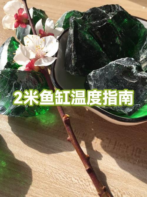 鱼缸温度显示器怎么调截图
