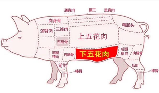 市场上的五花肉怎么买图标