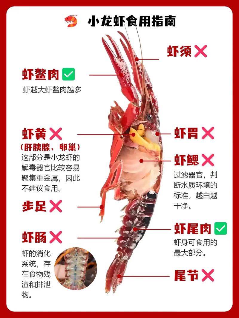 腾讯小龙虾收费吗图标