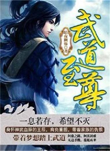 武道至尊图标