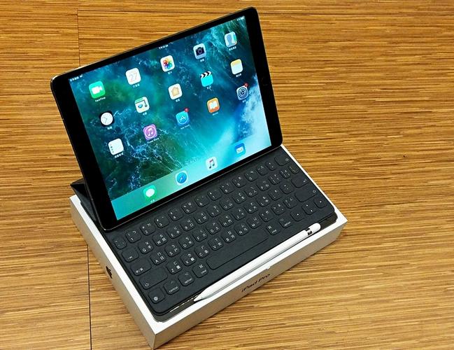 ipad pro海外版截图