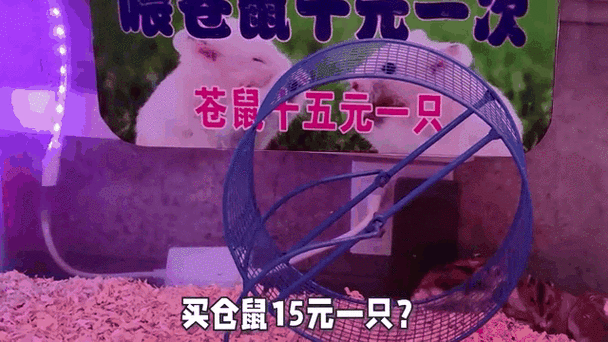 仓鼠赚钱提现多久到账截图