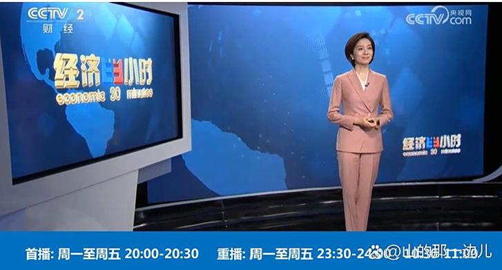 经济半小时猎狐