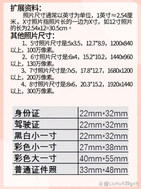 护照照片是几寸图标