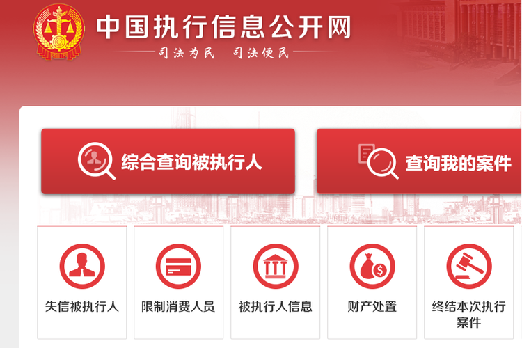 中国信息执行公开网查询个人信息图标