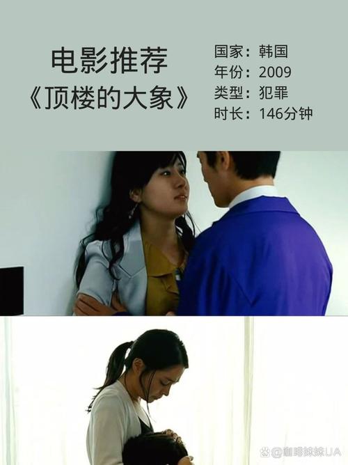 顶楼的大象完整版百娱图标