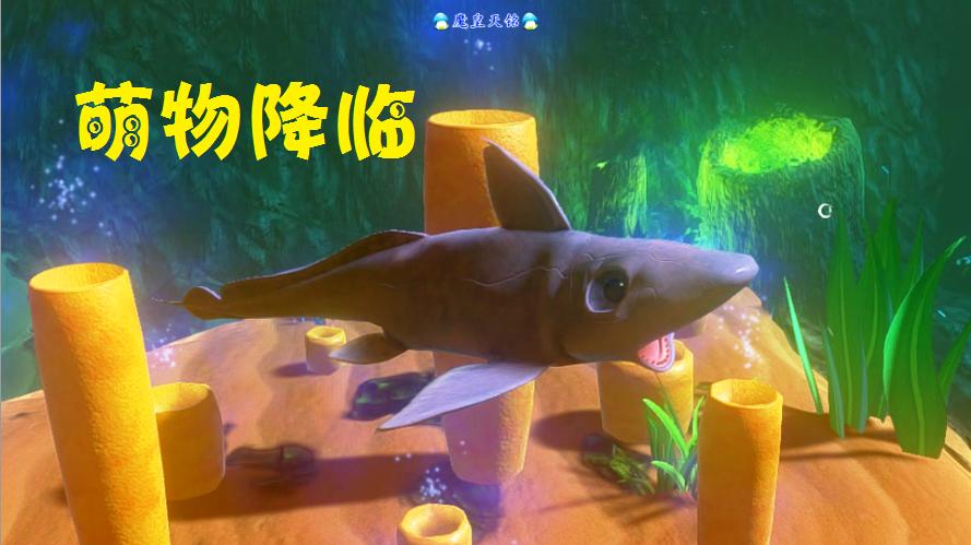 海底大猎杀幽灵鲨