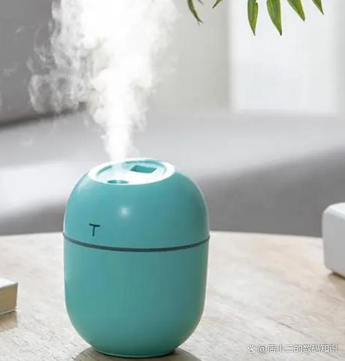 加湿器好还是放盆水好