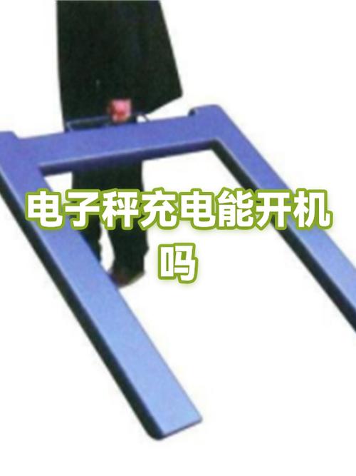 电子秤充电需要开着吗图标
